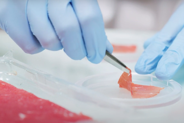 Lab-Grown, 3D-Printed Pork By Israeli Startup Could Be ‘Kosher’ Too ...