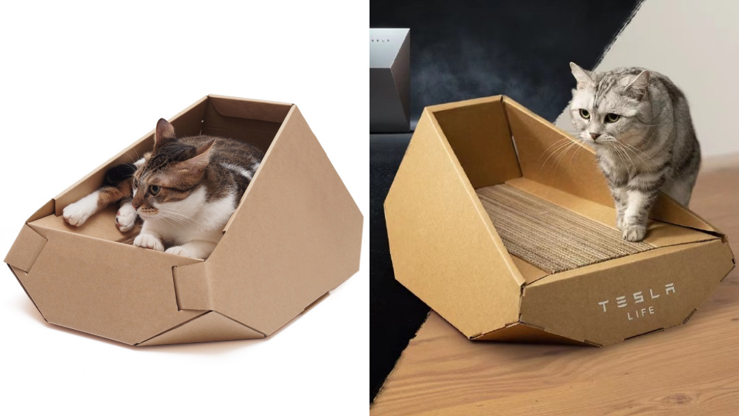 Tesla Accused Of Copying Design For Its Cybertruck-Inspired Cat Bed ...