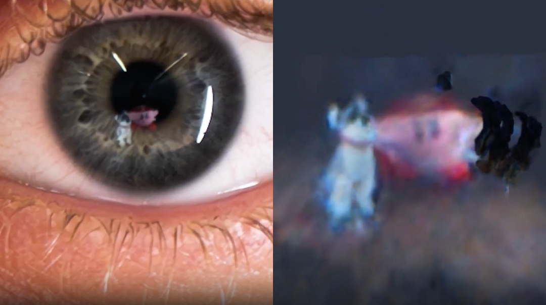 The Reflections In Your Eyes Can Reconstruct 3D Objects And ...