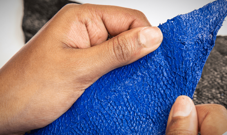 Fish Leather Made From Highly Invasive Species Could Give Ocean Its ...