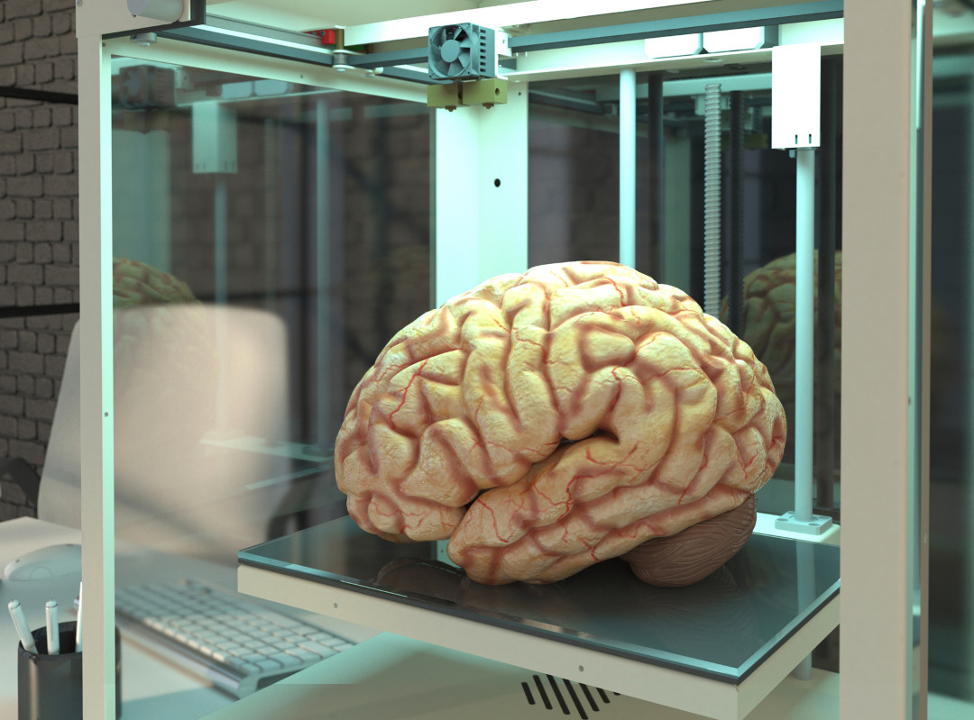 FDA Says No To Elon Musk’s Neuralink Testing Brain Implants On Humans ...