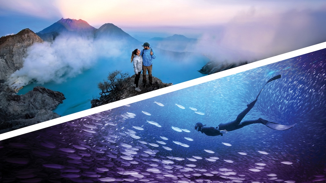 Adobe Elements 2026 Arrives With AI-Pumped Photoshop & Premiere For ...