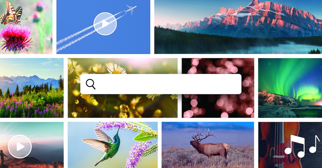 Adobe Elements 2026 Arrives With AI-Pumped Photoshop & Premiere For ...