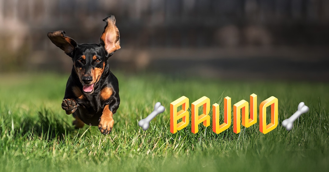 Adobe Elements 2026 Arrives With AI-Pumped Photoshop & Premiere For ...