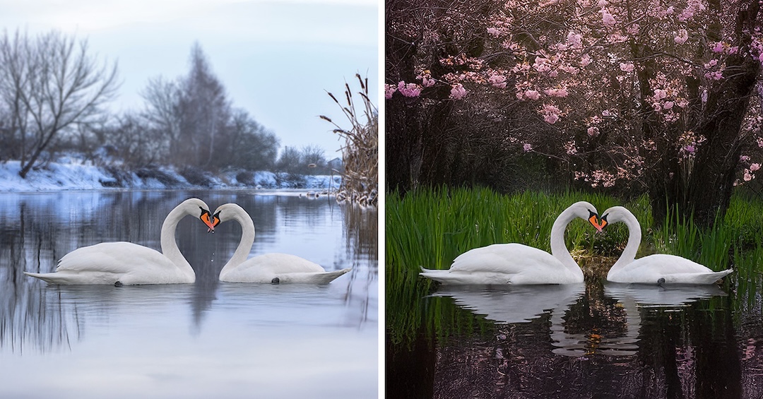 Adobe Elements 2026 Arrives With AI-Pumped Photoshop & Premiere For ...