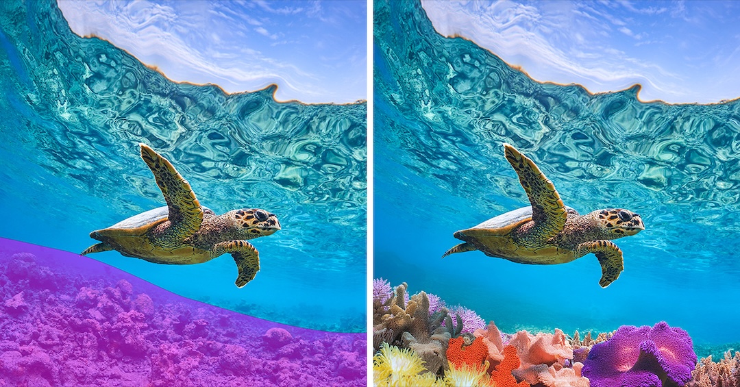 Adobe Elements 2026 Arrives With AI-Pumped Photoshop & Premiere For ...