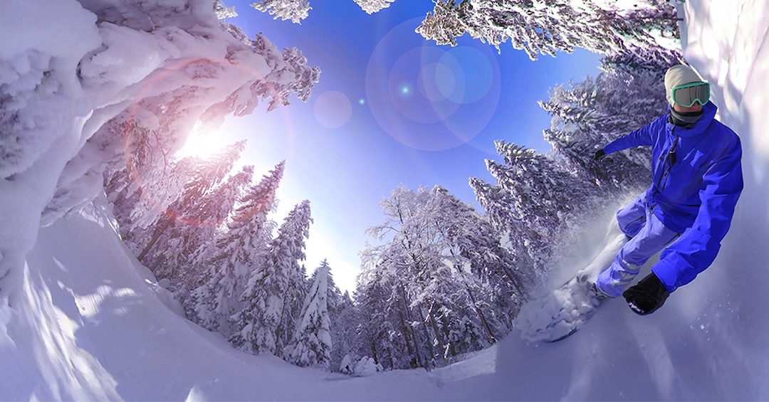 Adobe Elements 2026 Arrives With AI-Pumped Photoshop & Premiere For ...