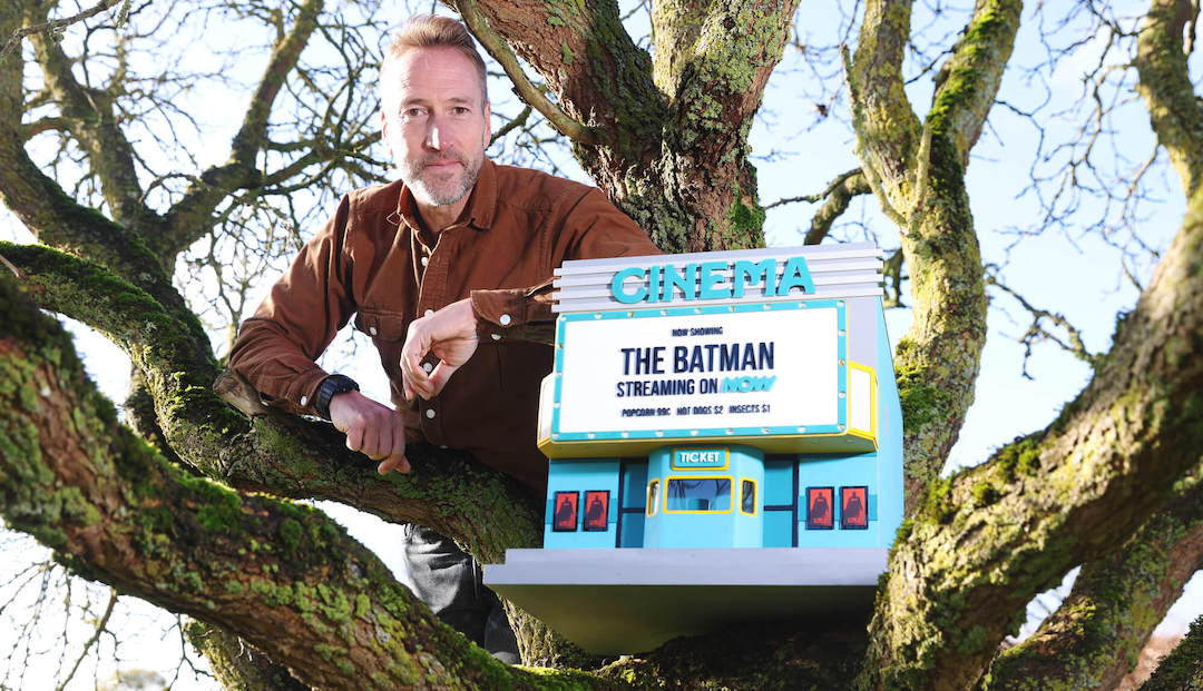 Tiny ‘Batman’ Movie Theaters Now Showing On Trees To Protect Winged ...
