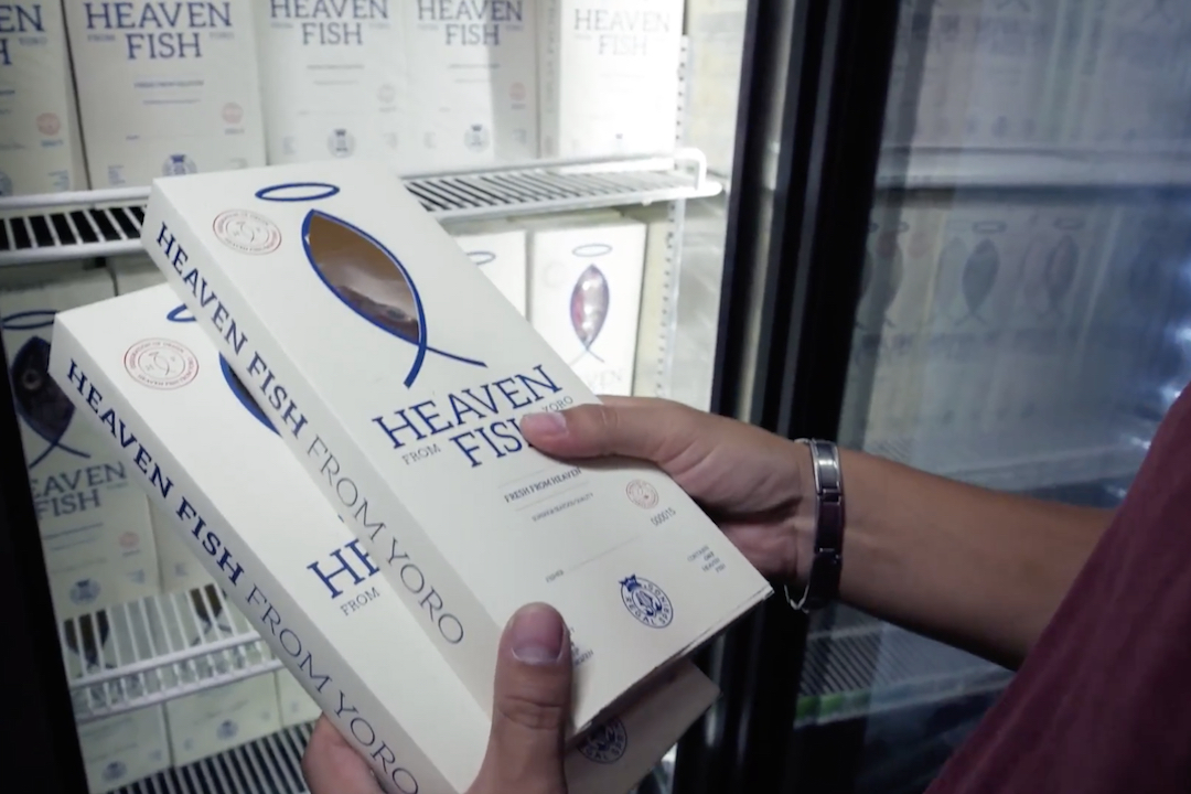 ‘Heaven Fish’ Uses ‘Miracle’ Of Fish Falling From Sky To Build Local ...