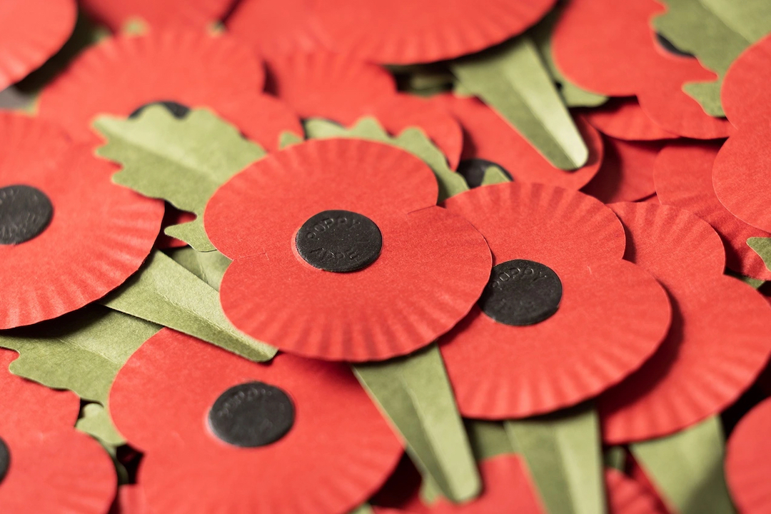Britain’s Iconic Red Poppy Goes Plastic-Free In Eco Redesign ...