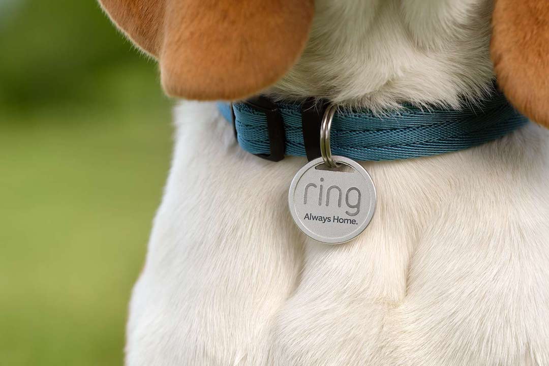 Ring Unleashes Pet Tag For Reuniting Lost Furry Friends With Their ...