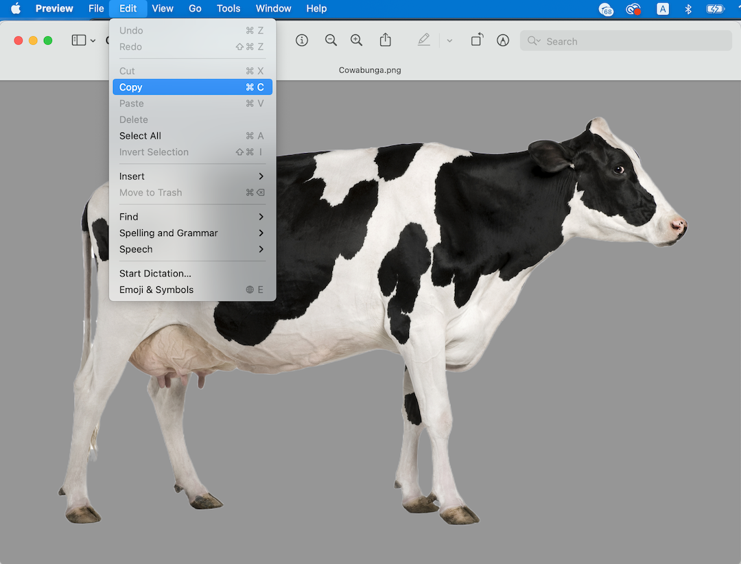Turn Mac Folders Into Cows For A Legen-Dairy Desktop Makeover ...