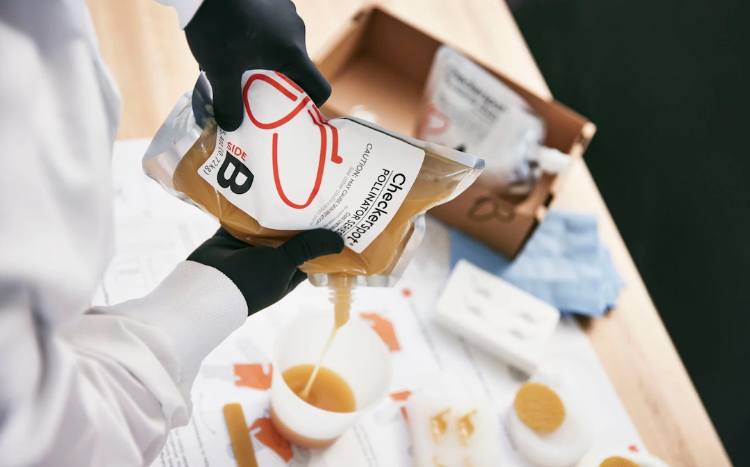 Algae ‘Plastic’ Design Kits Let Creators Build To A Greener Future ...