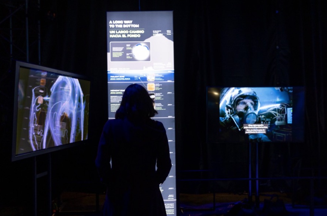 James Cameron’s Submarine He Took To Bottom Of The Ocean Is Now On View ...