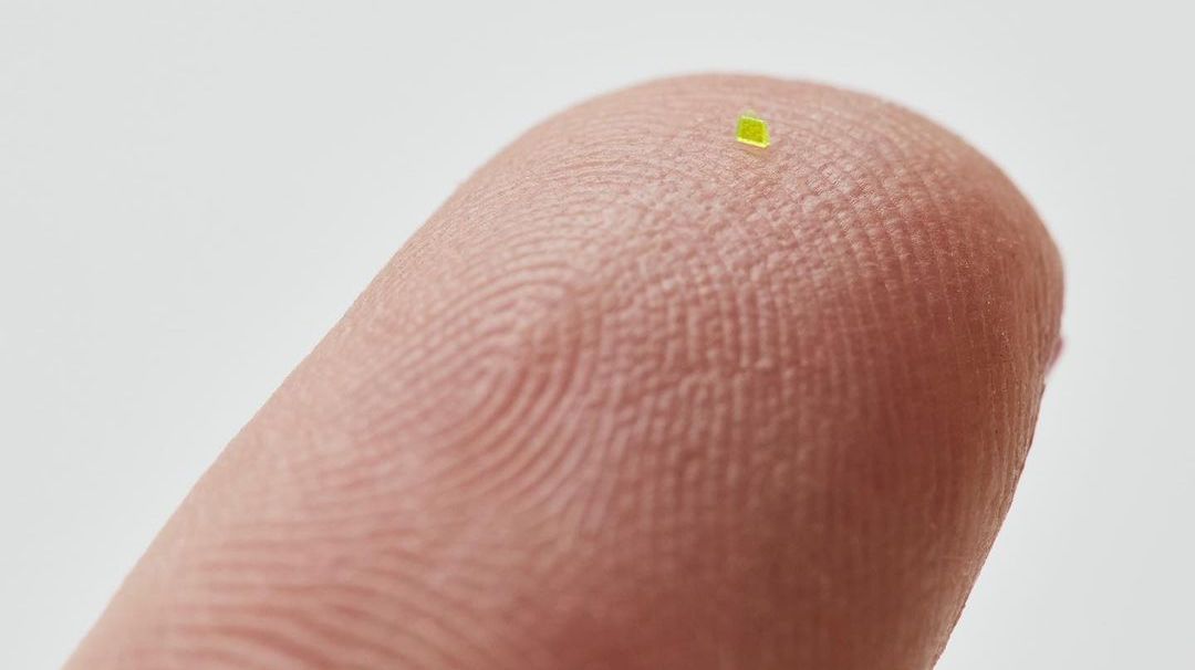 MSCHF’s Microscopic Bag Fetches Over $60K At Auction - DesignTAXI.com