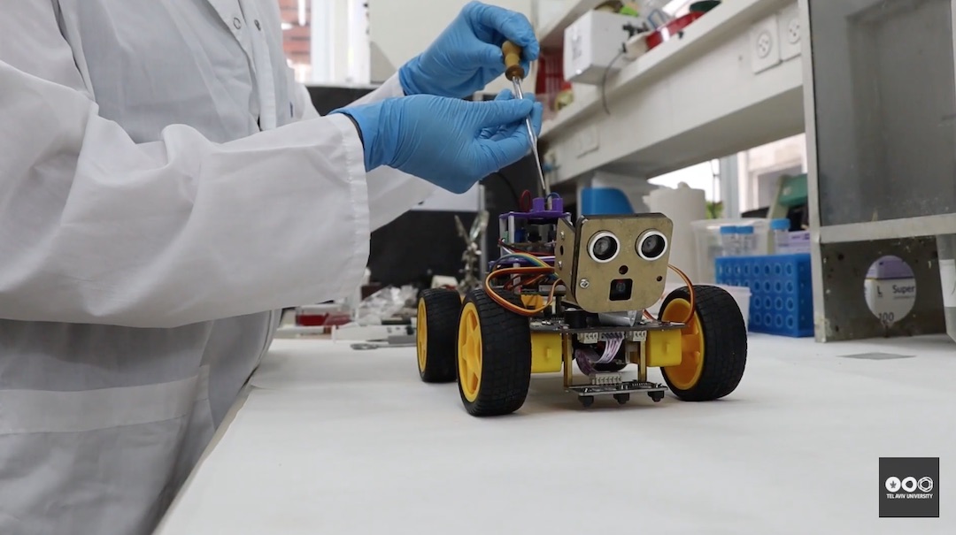 Wheeled Robot Uses Its Insect Antennae To ‘Smell’ Its Surroundings ...