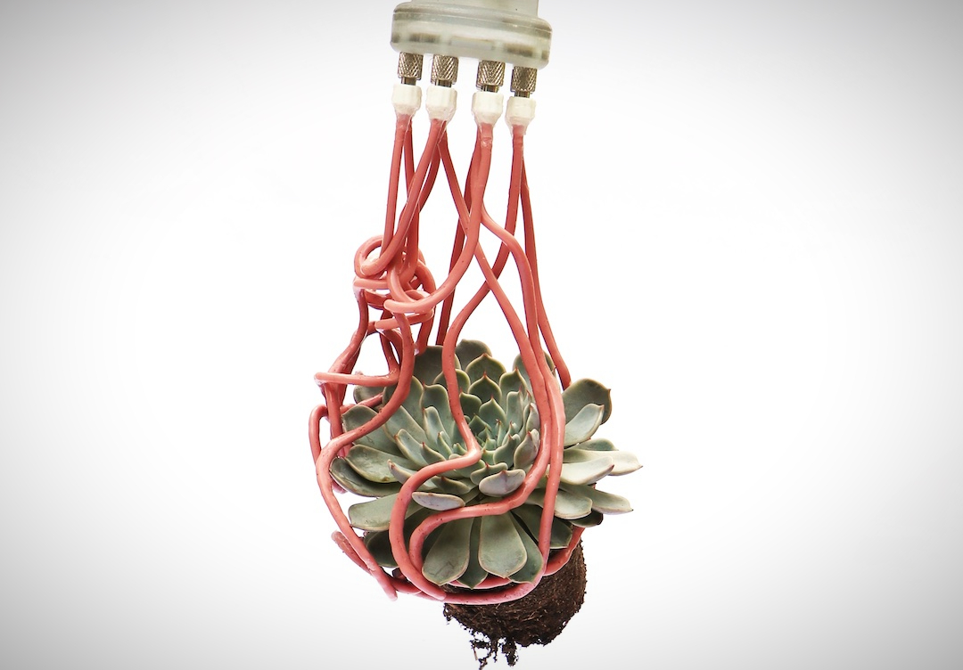 Tentacled Robot Learns To Handle Delicate Objects With Its Foot-Long ...